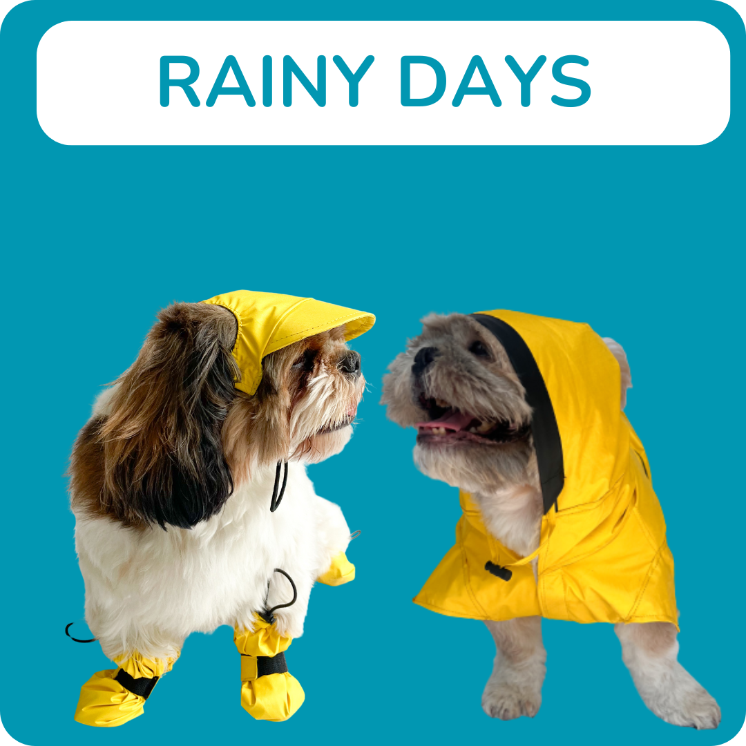 Pawgy Pets – Pawgypets