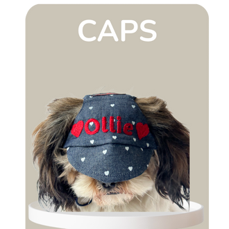 Pawgy Pets – Pawgypets