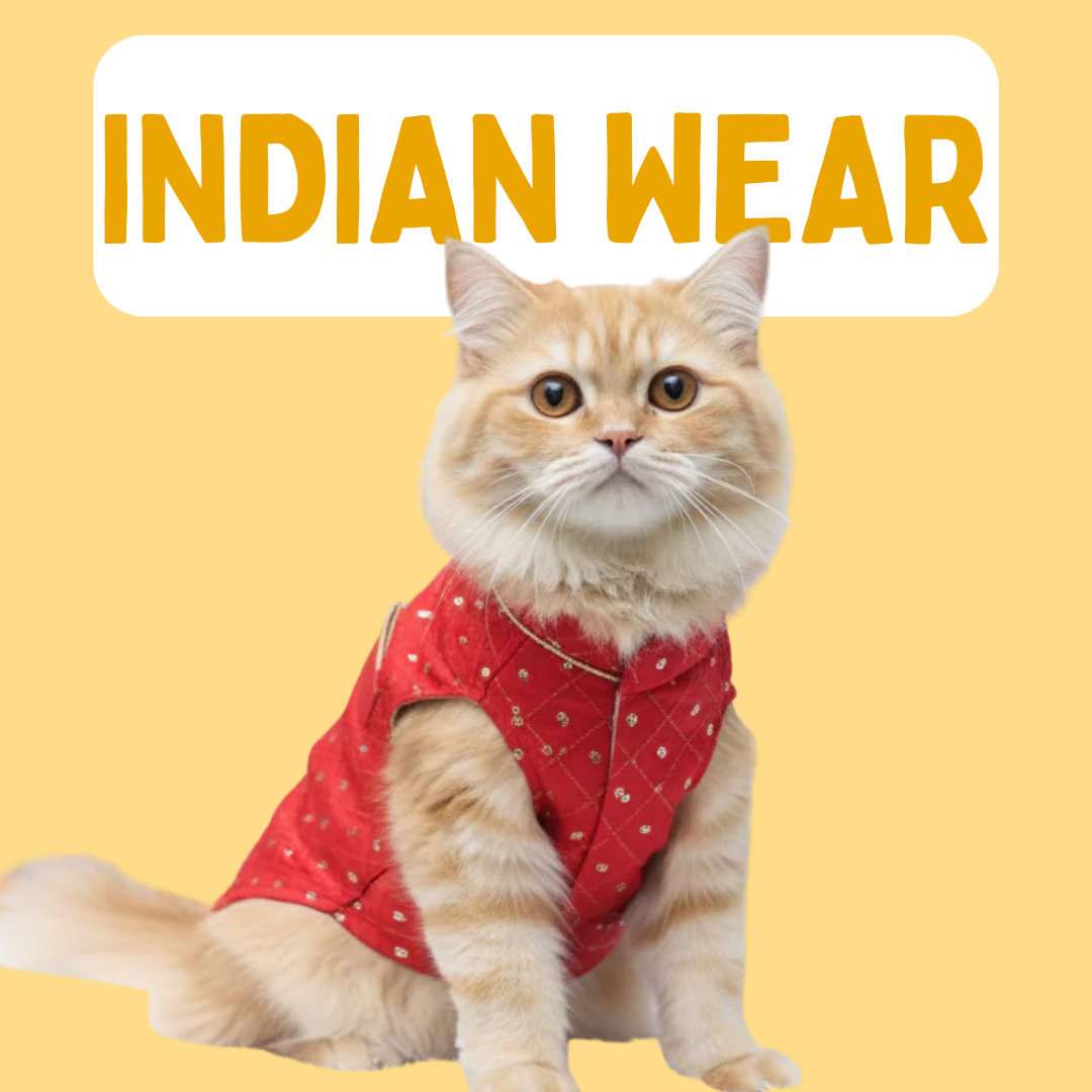 Buy Cat Clothes - Occasion Wear Dresses, Kurtas, Sherwani & More ...