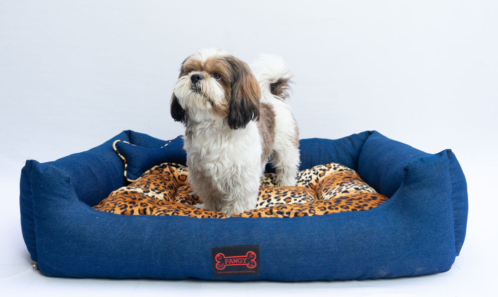 Pawgy Pets – Pawgypets