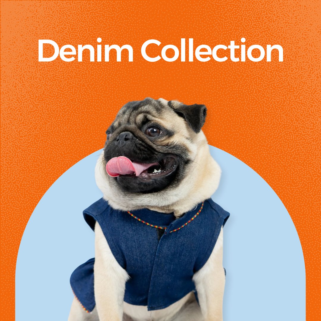 Pawgy Pets – Pawgypets