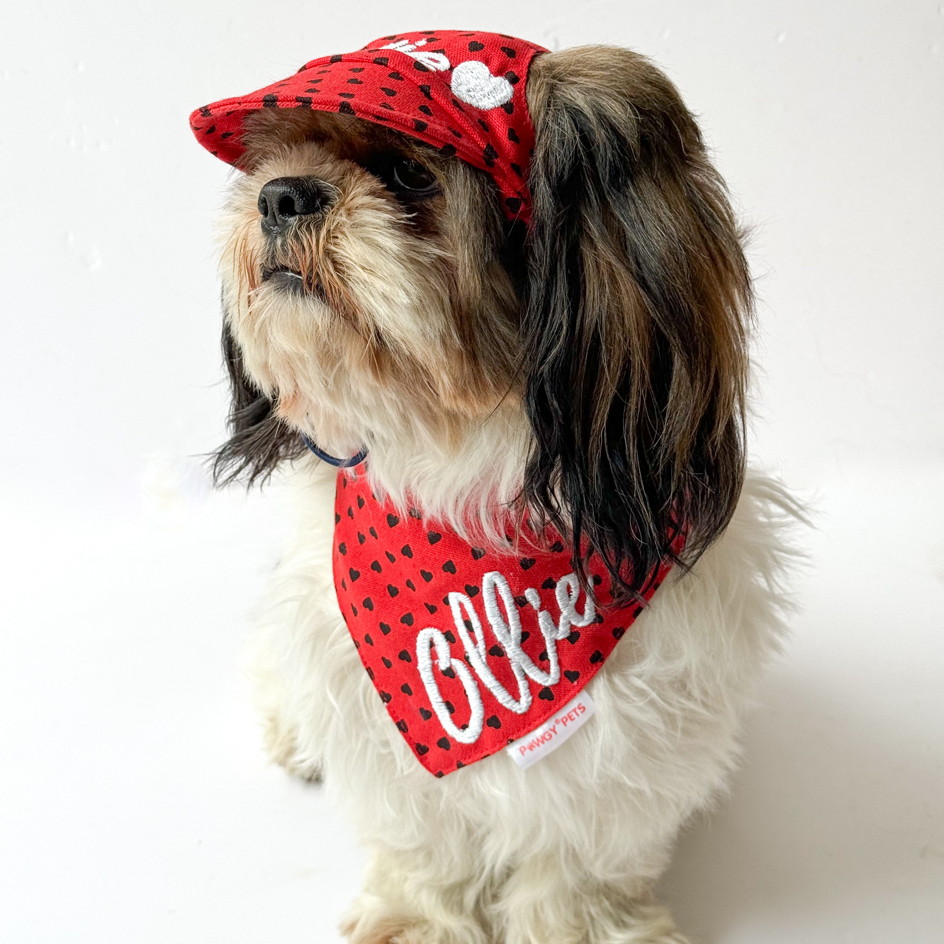 Valentine’s Edition – Pawgy Pets