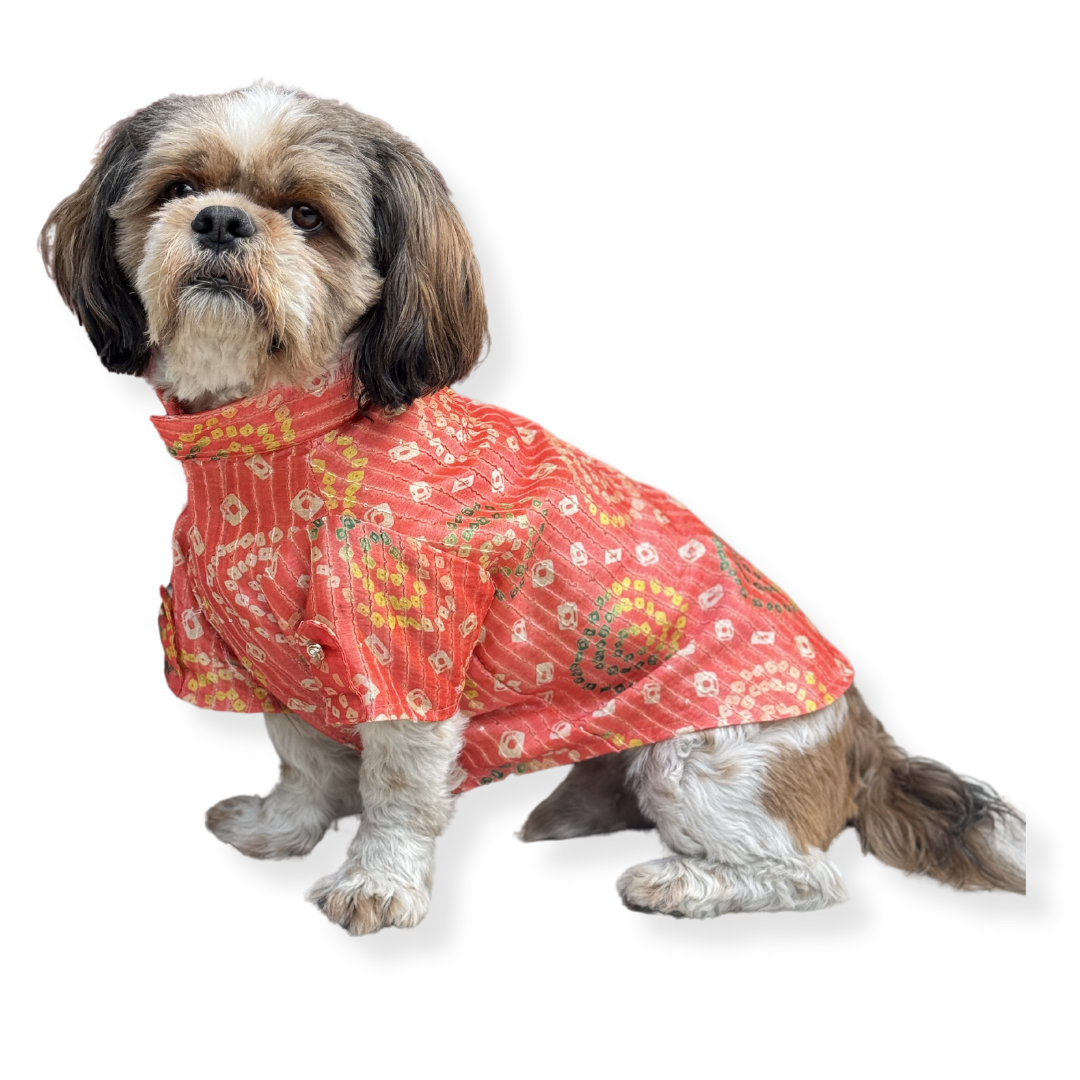 indian wear for dogs, dog sherwani, dog kurta, cat kurta, wedding ...