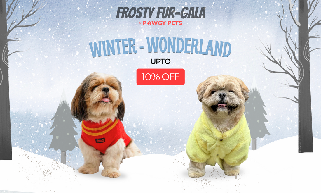 Pawgy Pets – Pawgypets