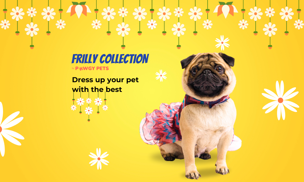 Pawgy Pets – Pawgypets