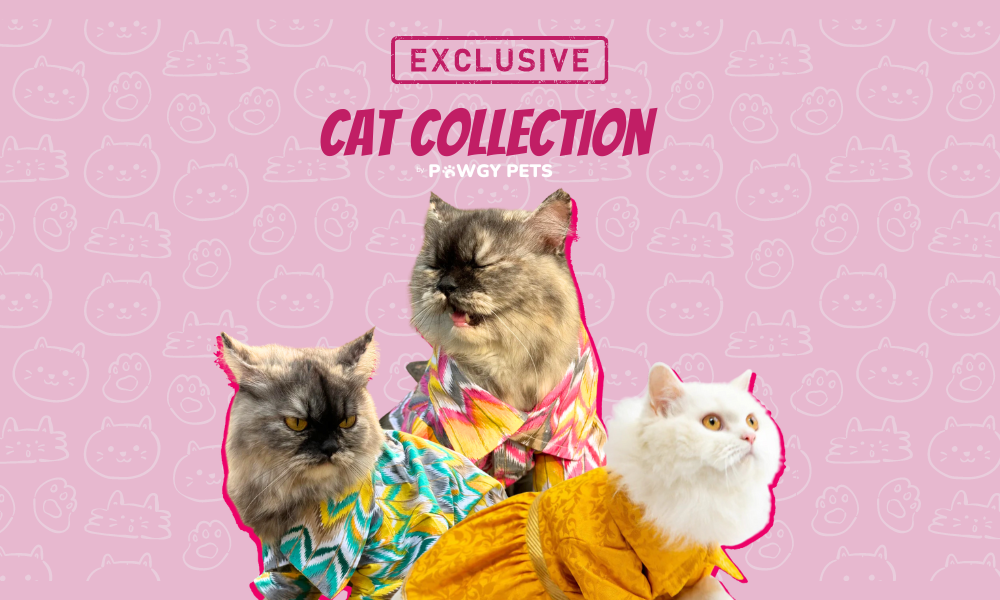 Pawgy Pets