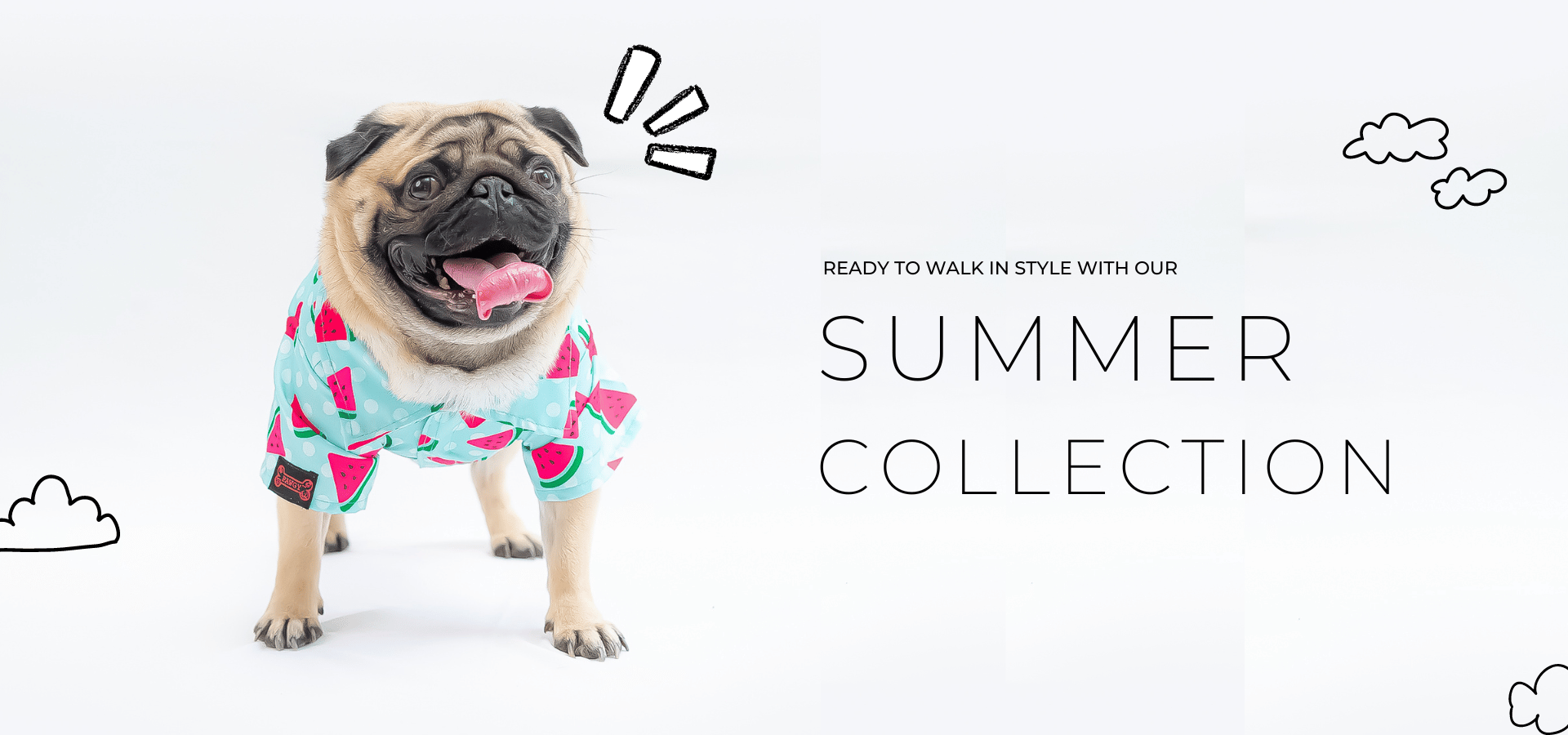 Pawgy Pets – Pawgypets