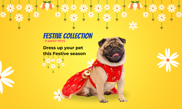 Pawgy Pets – Pawgypets