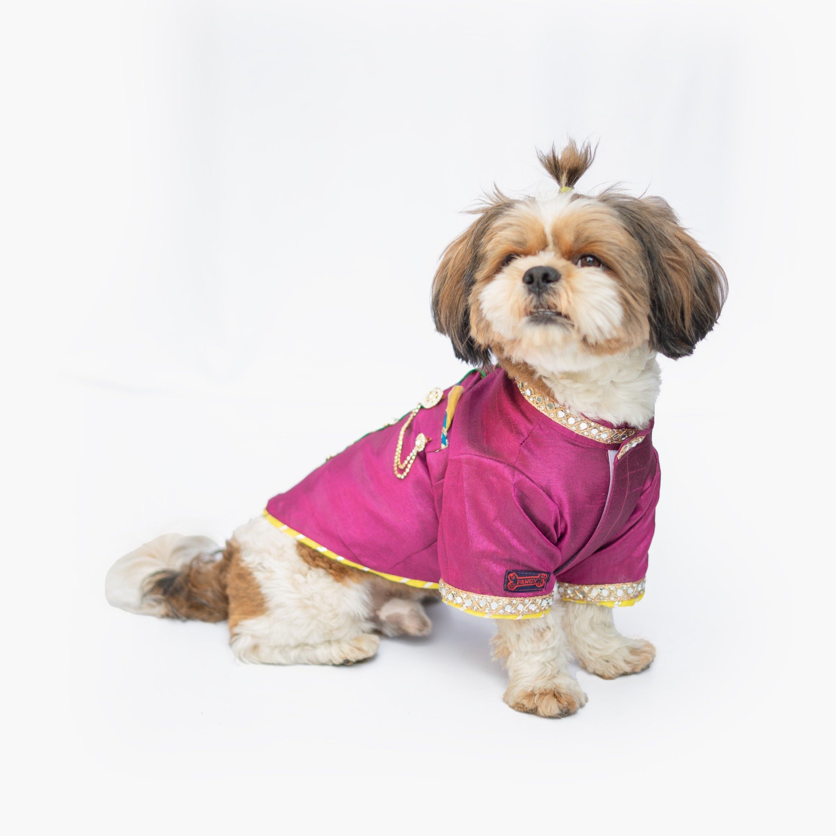 Pawgy Pets Raw Silk Sherwani: Rani for Dogs