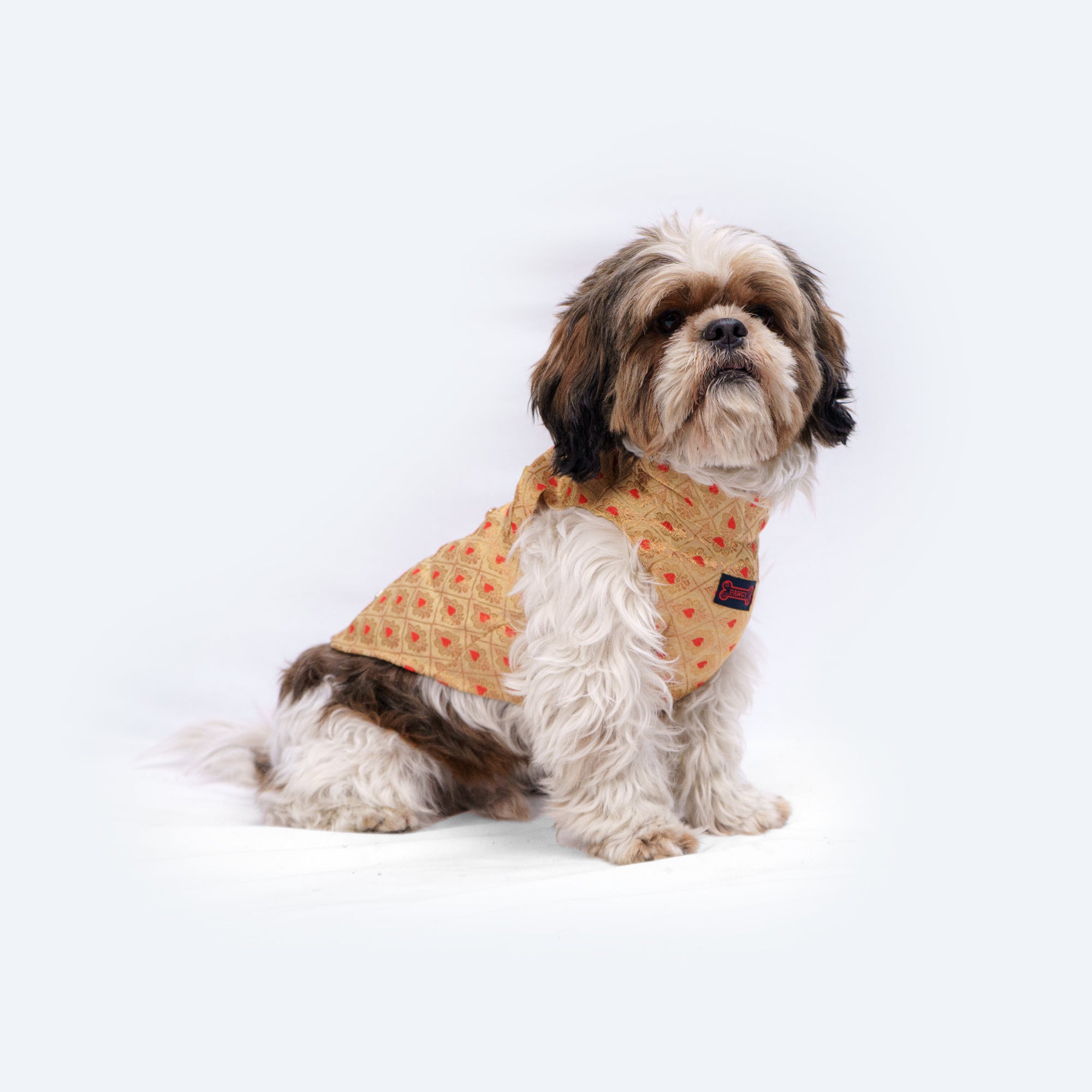 dog sherwani, dog wedding wear – Pawgy Pets